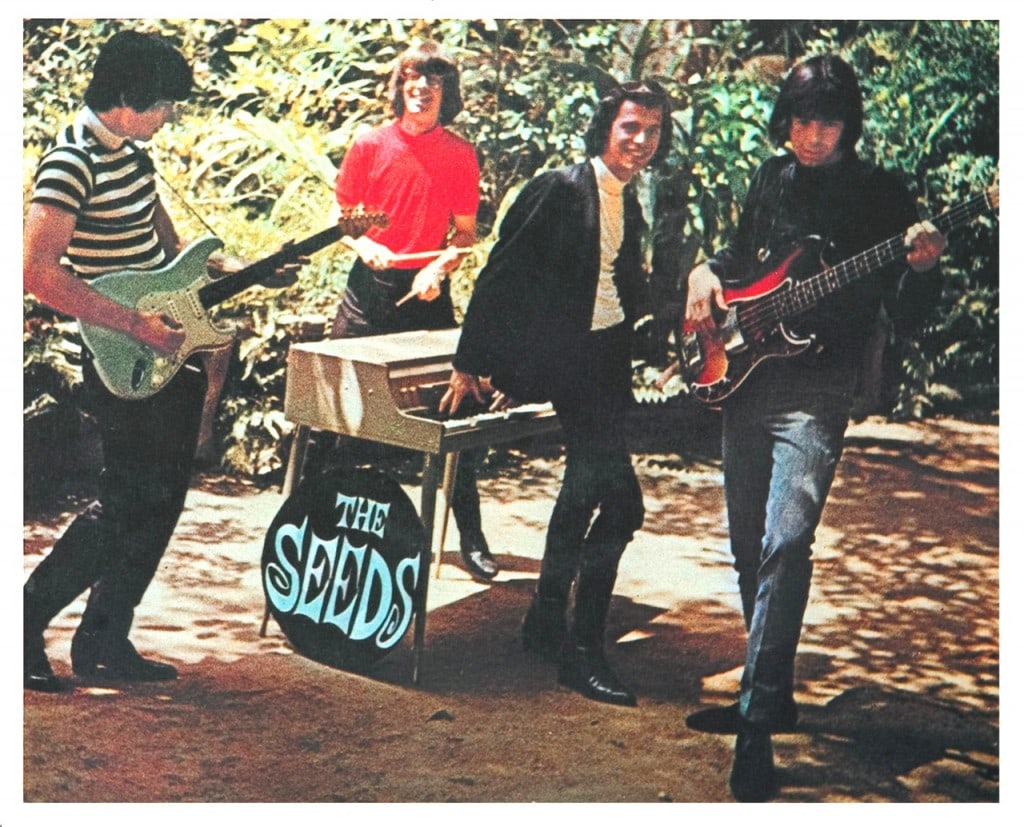 The Seeds - Alchetron, The Free Social Encyclopedia