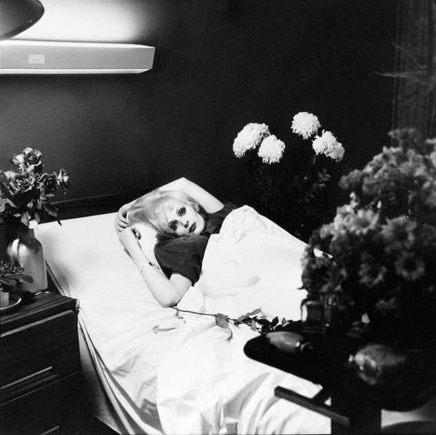 THE ICONIC CANDY DARLING!